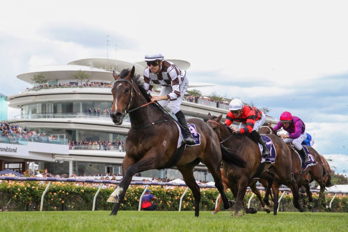 Hellbent's dual G1 winner Magic Time purchased by Yulong – Yarraman ...