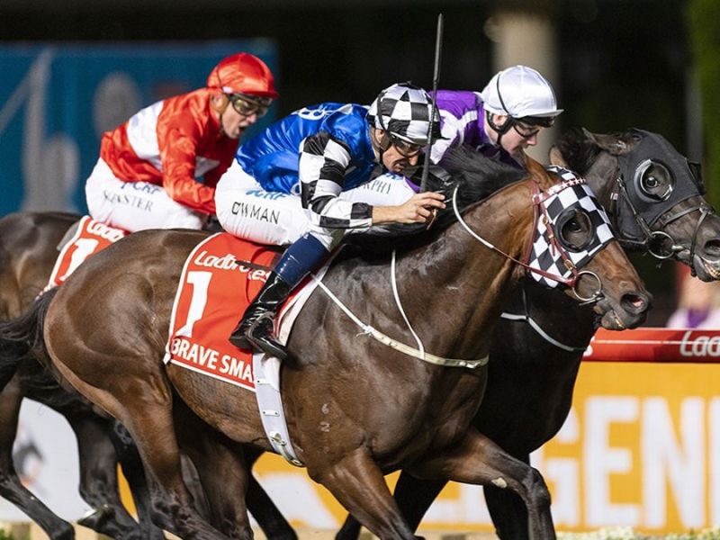 Brave Smash - Stallion - Yarraman Park Stud